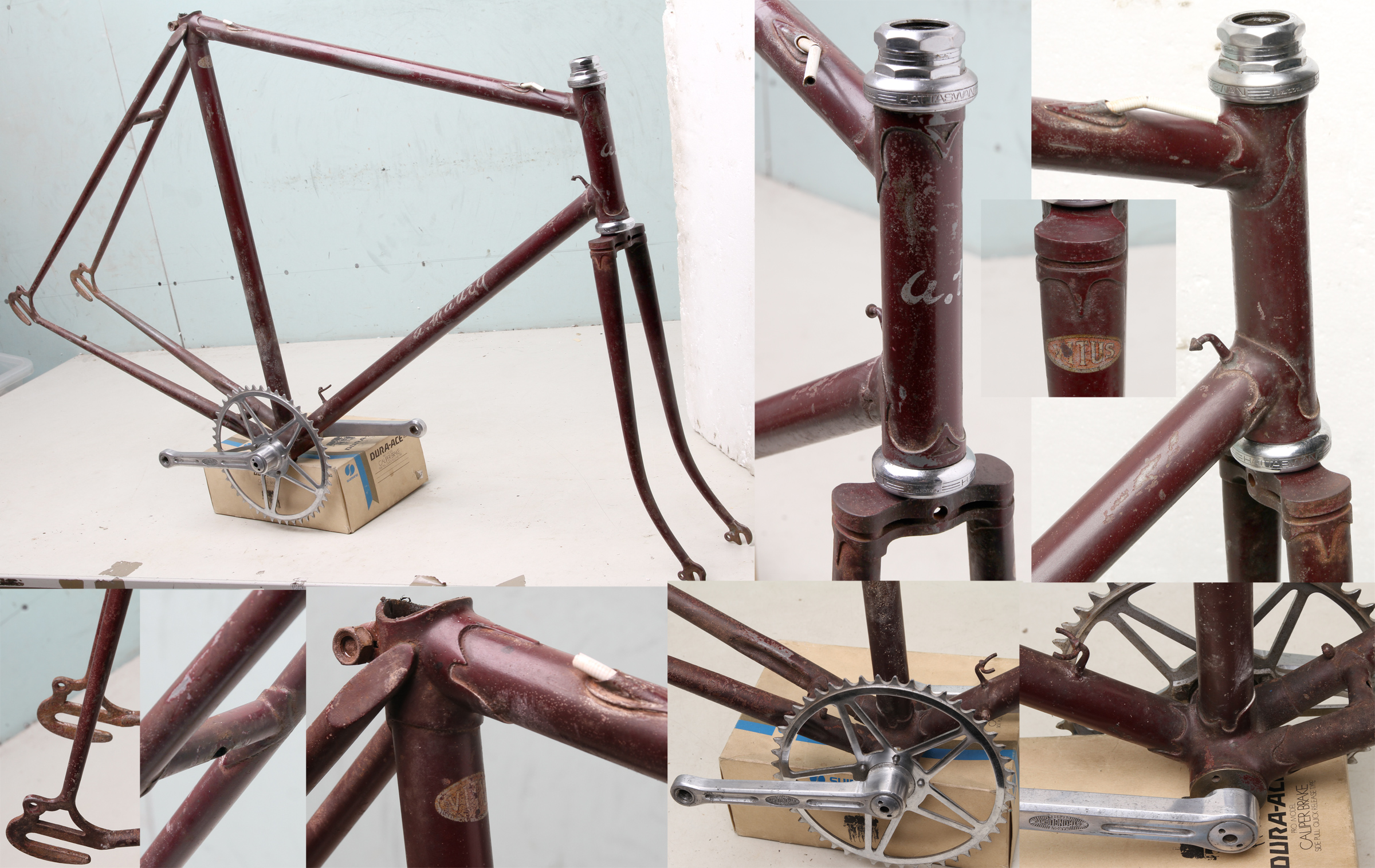 Hilary Stone European Bike Frames page 1