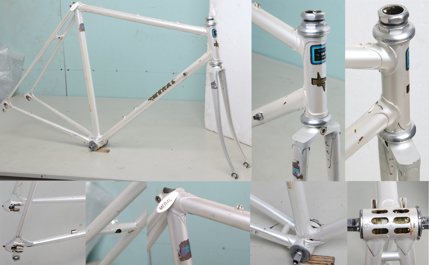 Hilary Stone European Bike Frames page 1