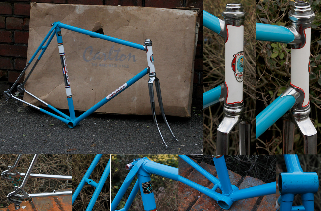 Carlton Professional Equipe Giro D'Italia or Raleigh Pro | Retrobike